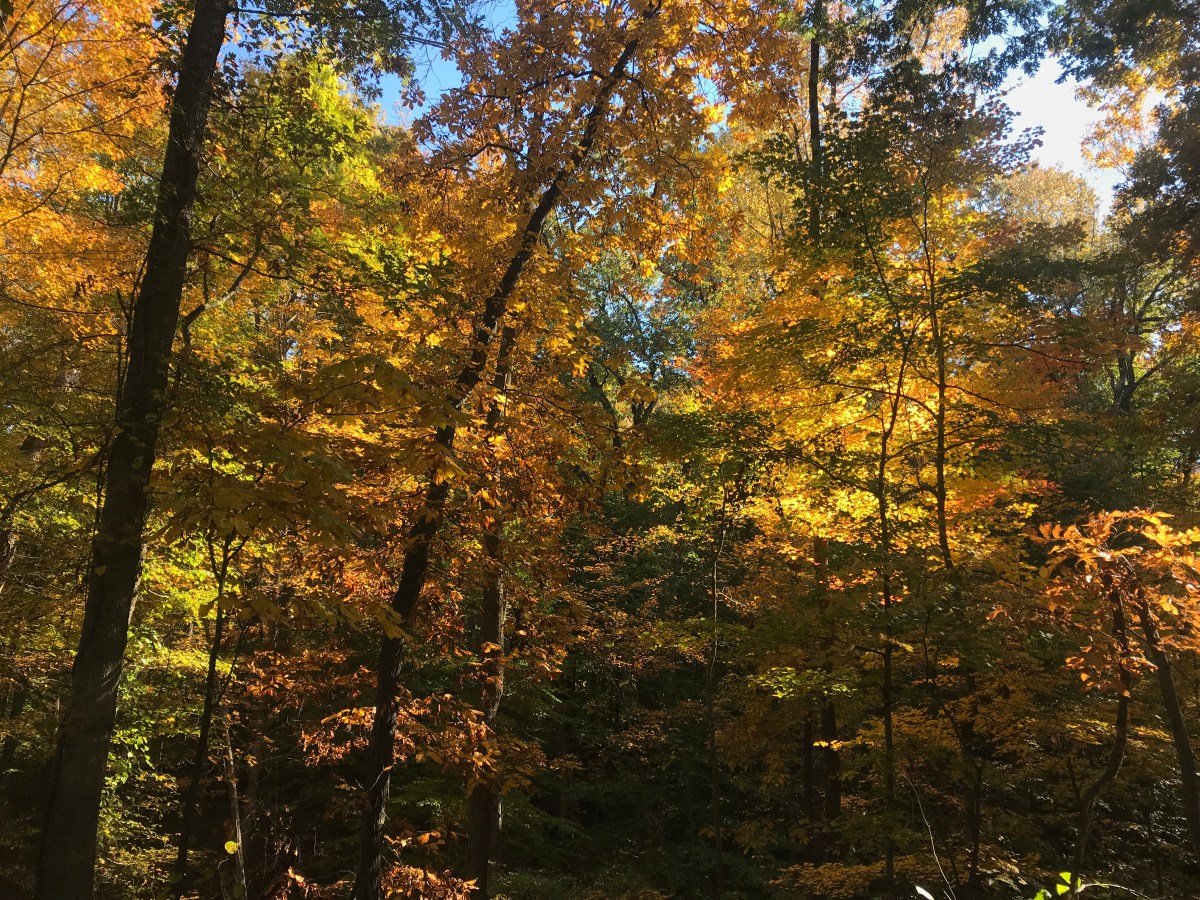 Research – Aaron Sexton