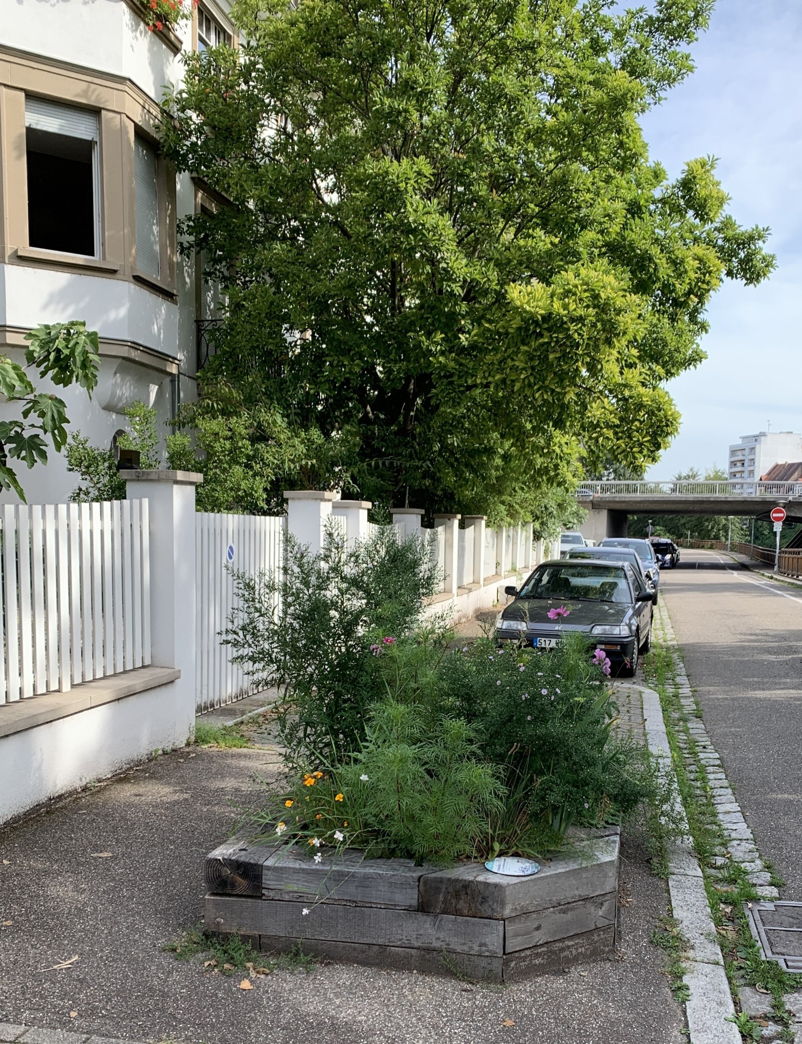 Aaron Sexton – Urban Plant Ecology Lab – Cornell University